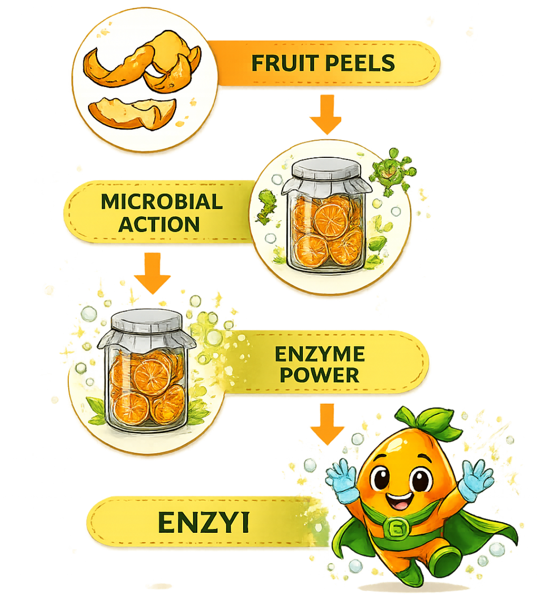 Enzy – The Superhero - Green Natural Product | Eco Friendly Cleaning ...